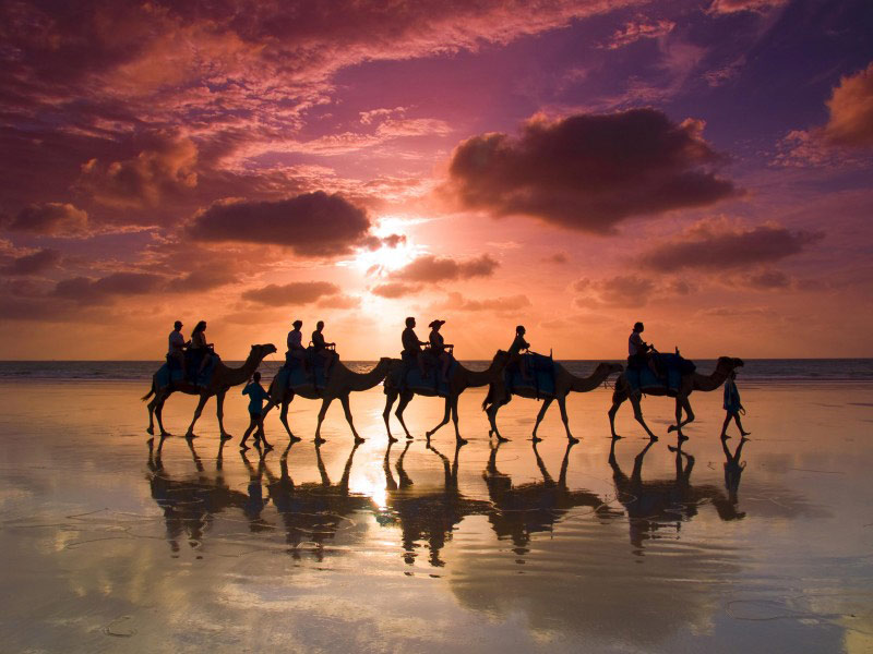 Oak's Book Club: The Alchemist: pgs:33-71 Tangier, Morocco and the ...